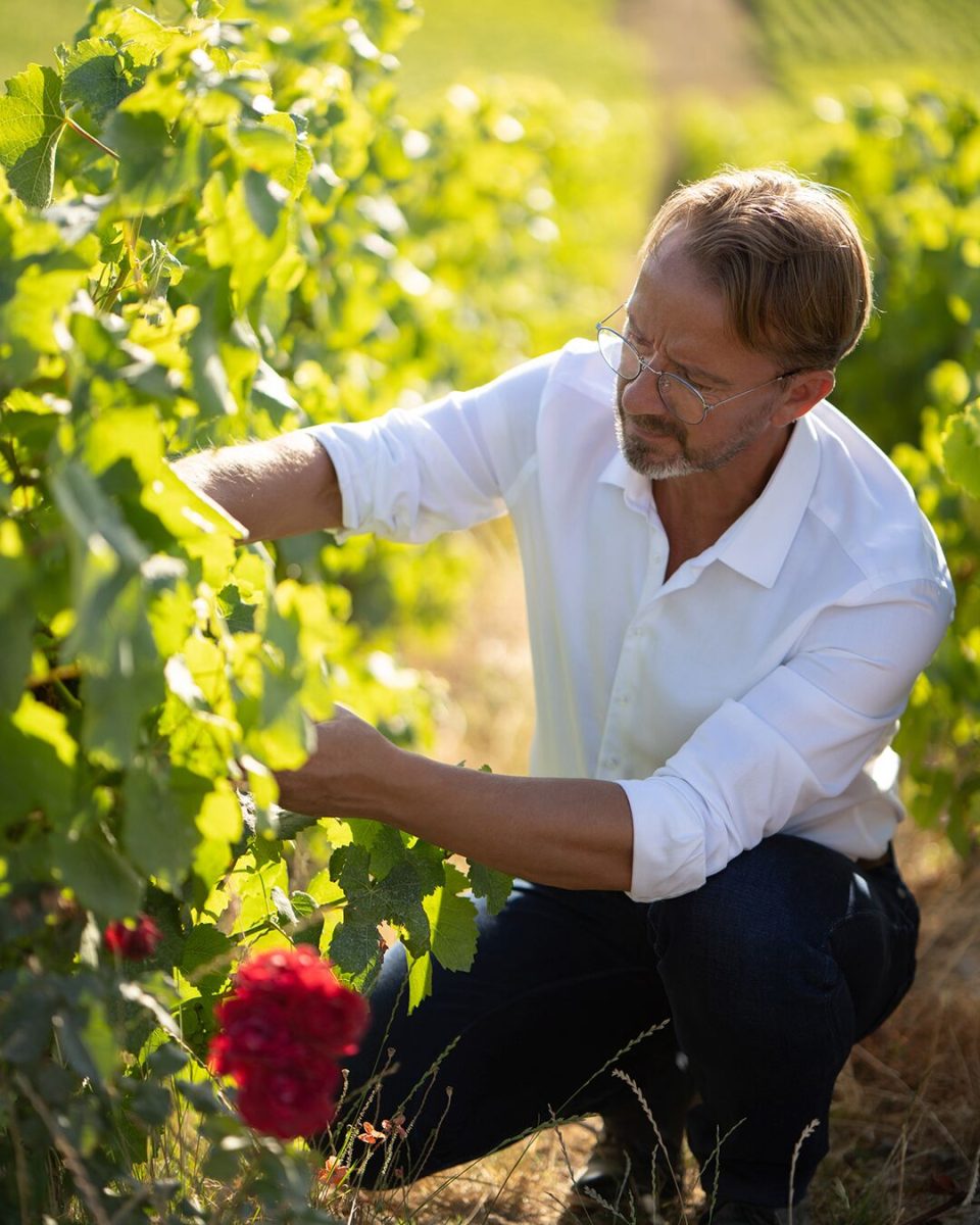 KOLLEKTIONEN – G.H.Mumm